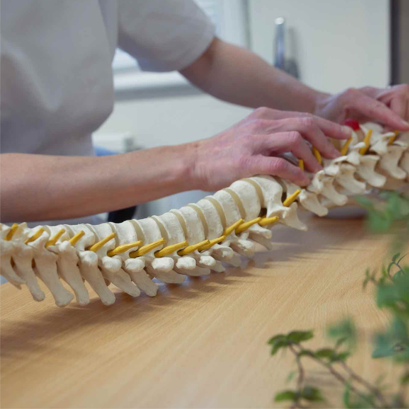 What Osteopaths Treat | The Chiltern Osteopathic Practice, Hyde Heath